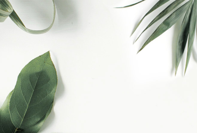 Services – Evolve Spa & Salon